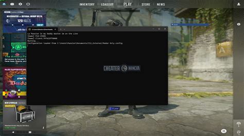 Laco Cs2 External Hack Updated Aimbot Esp Config Cheaterninja