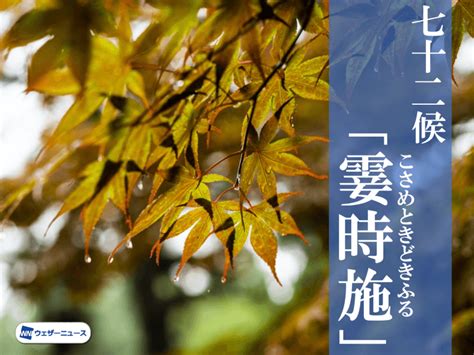 七十二候「霎時施 こさめときどきふる 」 一雨ごとに季節前進 ウェザーニュース