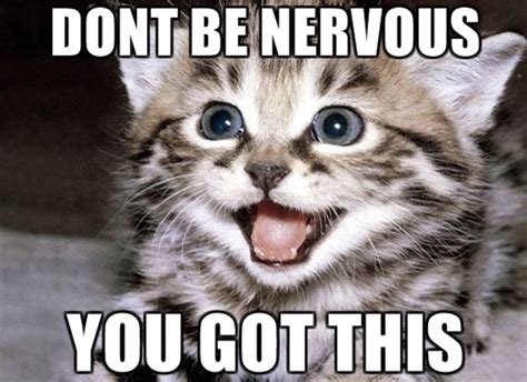 Funny Good Morning Memes With Cute Cat Overly Attached Kitten Meme