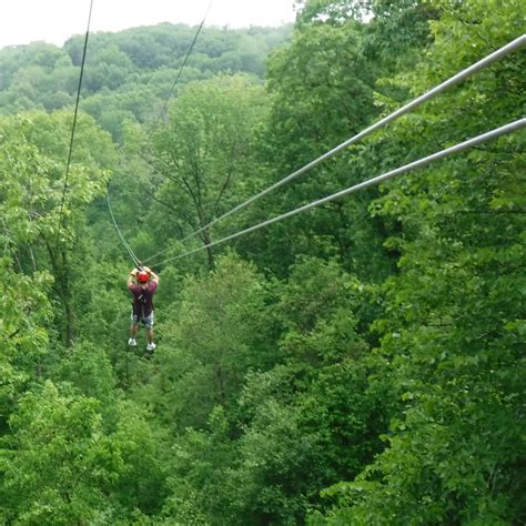 Zipline Tours 2 To 2 5 Hours Long Hollow Canopy Tours