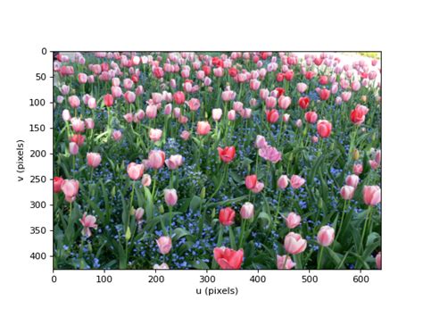 Machinevisiontoolbox Image Disp Machine Vision Toolbox Documentation