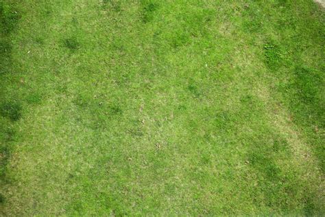 High Quality Grass Texture Map