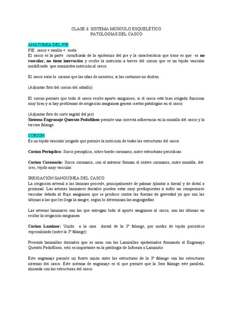 Clase 6 Patologías Del Casco Pdf Inflamación Fisiología