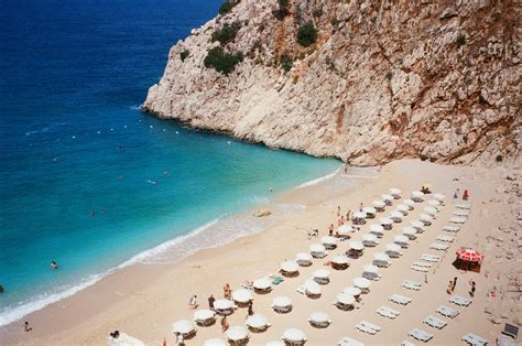 Arbre Creusé Au Séquoi National Park Avec Une Forêt Dérriere · Foto De Stock Gratuita
