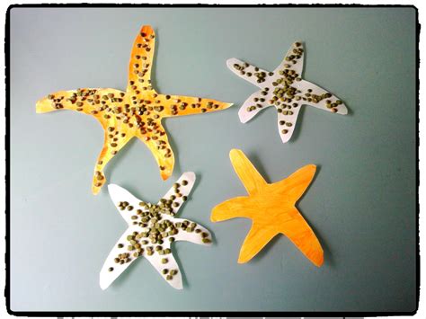 Des étoiles De Mer Étoile Origami Etoile De Mer Origami