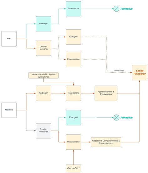Neurodevelopmental Model Explaining Associations Between Sex Hormones