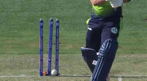 History Of Stumps In Cricket And Its Modification Journey