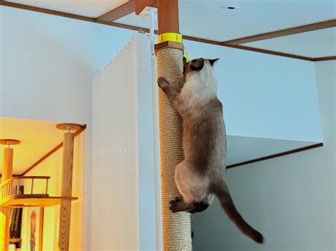 中村 光 Nkmrhkr421 • Instagram Photos And Videos