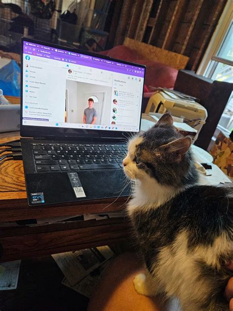 Andre Kingston On Linkedin When Youre Trying To Get Work Done