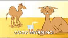 Funny Camel S Tenor