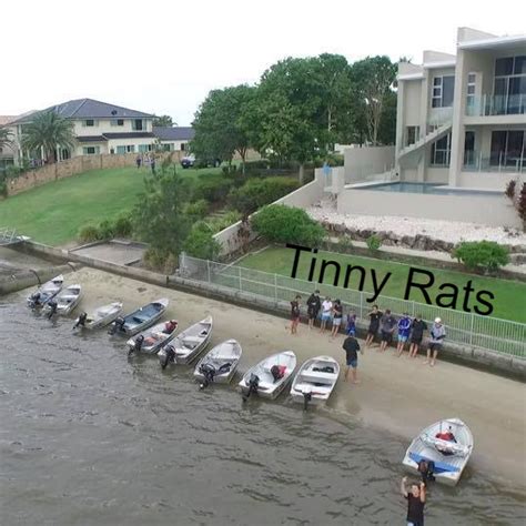 Tinny Bashing Tinny Bashing Added A New Photo