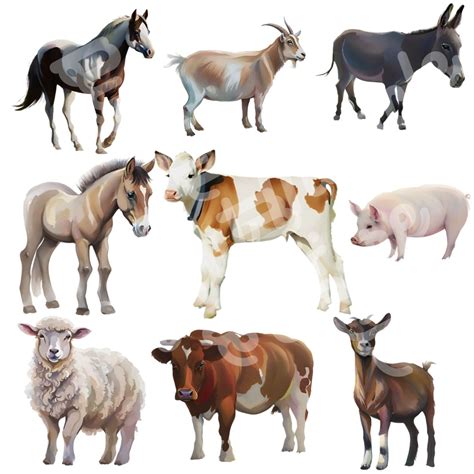 Farm Animals Png Farm Animals Clipart Barn Animals Clipart Barn