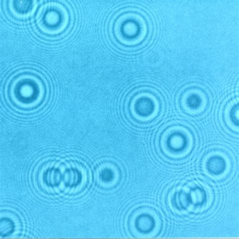 Diffusion And Interferences Of The Electron Waves They Have Been