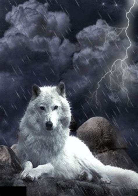 White Wolf 