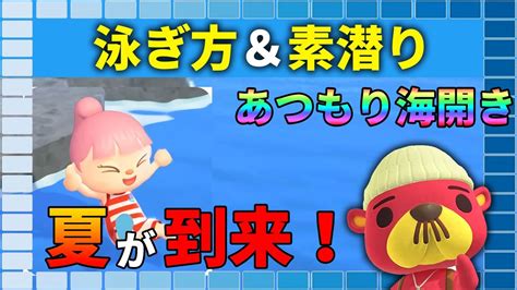 あつ森海のさち あつ森 海の幸の取り方 Jclusq