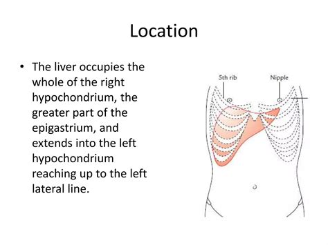 Liver And Gall Bladderppsx