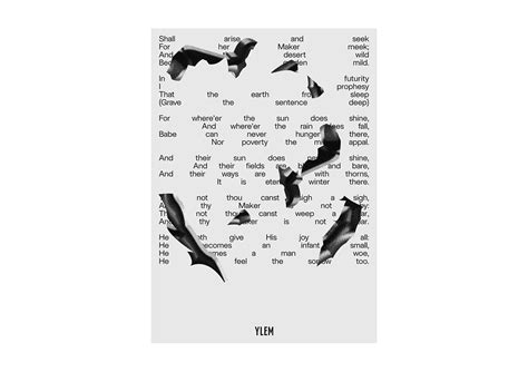 Ylem Branding Behance