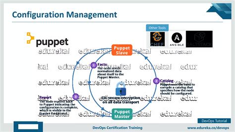 Introduction To Devops Edureka Pdf