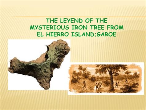 The Legend Of Garoe Iron Holy Tree By Group 5 Ppt