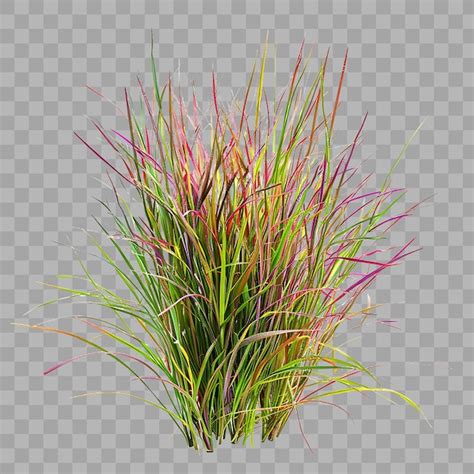 Premium Psd Psd Tall Mannagrass With Electric Red Reed And Violet