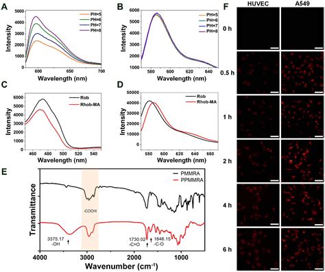 Figure 3 From Engineered Polymeric Nanovector For Intracellular Peptide Delivery In Antitumor