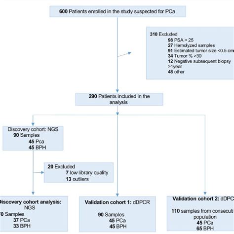 Flow Diagram Of Discovery And Validation Approaches Download