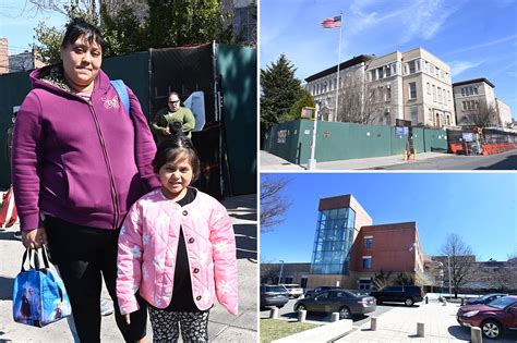 Rats Roaches Mice Flies Found In Nyc School Cafeterias