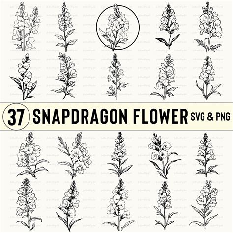 Snapdragon Flower Svg Png Bundle Snapdragon Flower Silhouette Snapdragon Flower Svg Png Bundle Snapdragon Flower Silhouette