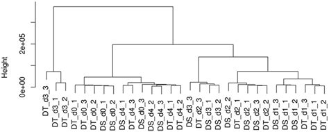 dendrogram showing correlation among the different samples based on
