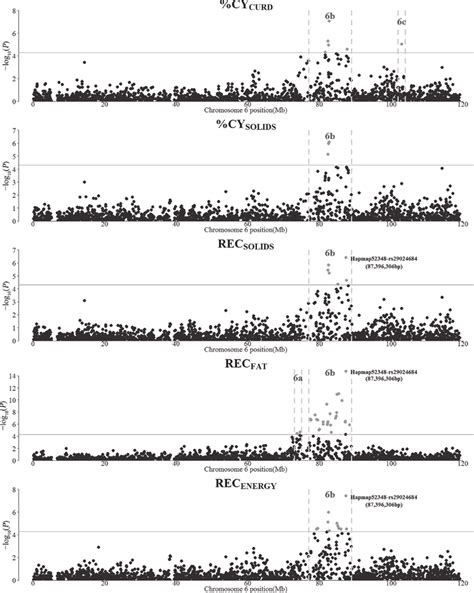 Manhattan Plot Of Logp Values For The Genome Wide Association Download Scientific Diagram