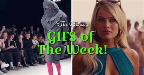 Thechive Funny Photos Memes And Videos