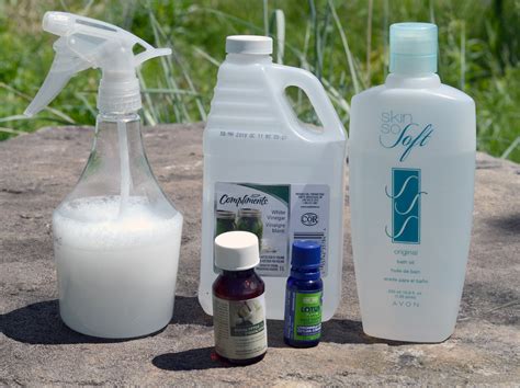 Dog Deterrent Spray Diy At Clifford Zak Blog