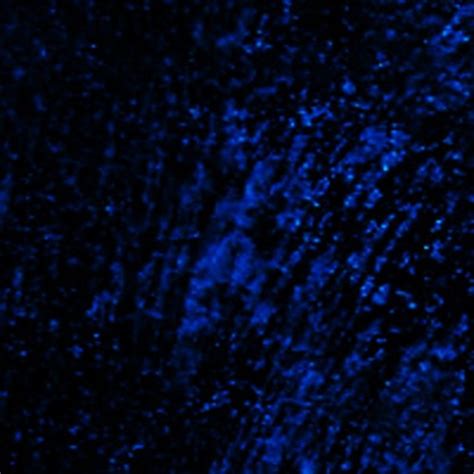 Neraph Free Music On Toneden