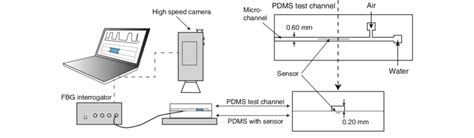 Schematic Of The Sensor Test Setup Download Scientific Diagram