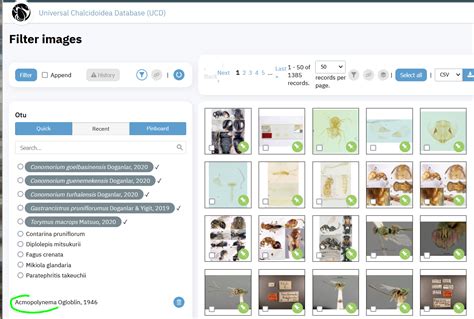 Bug Filter Images With Without Depiction Option Produces False Positives Issue