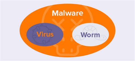 Differenza Tra Malware E Virus In Informatica Informatica E Ingegneria Online