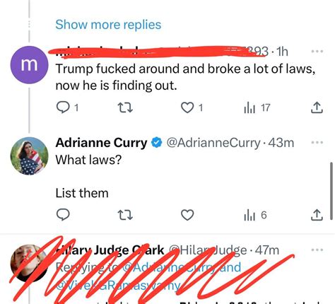 Adrianne Defends Her Overlord Trump And Doesnt Seem To Think Hes