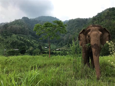 This Is My Friend Mae Pon In Northern Thailand She Doesnt Have To