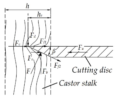 Schematic Of Collision Force And Velocity Of Stalk í µí°¹í µí°¹ í
