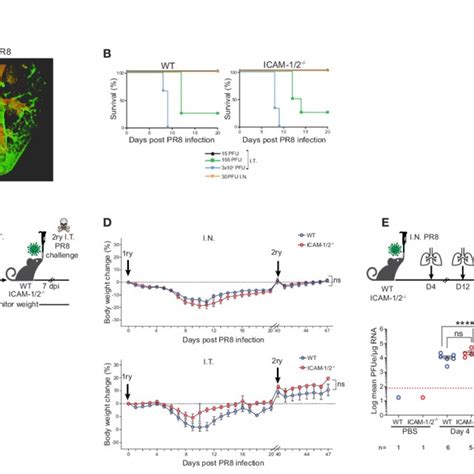 Paul Kubess Research Works The University Of Calgary Calgary Hbi And Other Places