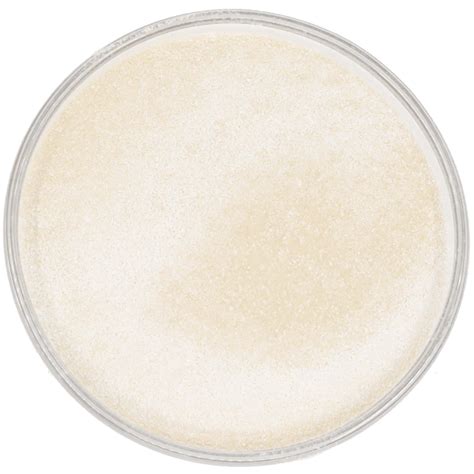 Agglomerated Powder 2 5 Active Water Soluble Blume Hemp