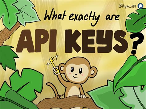 What Exactly Are Api Keys Read This Rapidapi Comic To Find Out 1