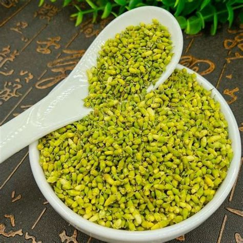 槐米的功效与作用 中草药大全 中药健康网