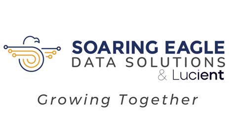 Soaring Eagle Data Solutions Acquires Lucient Usa Expanding Their