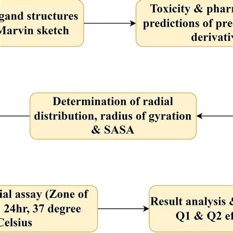 Flowchart Depicting Steps Followed In The Current Study The Protein