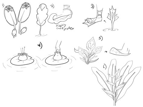 Heath Bailey Lily Slippies Botography