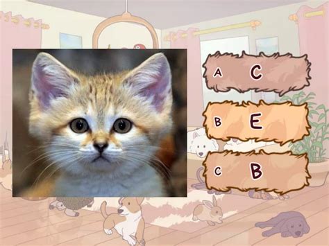 Abcdef Quiz Abcdef Quiz