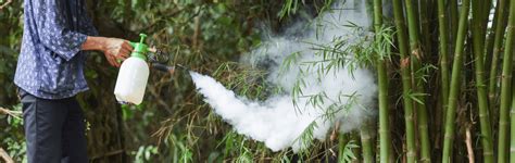 Permethrin Vs Pyrethrin Key Differences Safety And Uses Explained