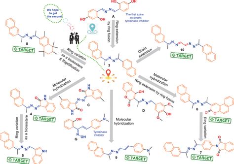 Workflow Scheme Of Design Strategy Download Scientific Diagram