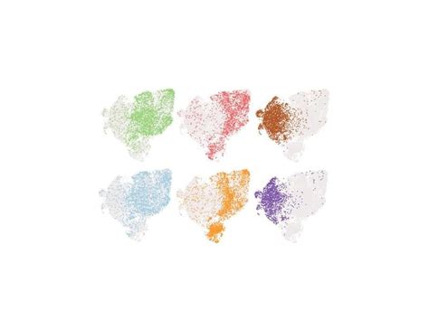 Stem Like Tissue Resident Memory T Cells Control Functional